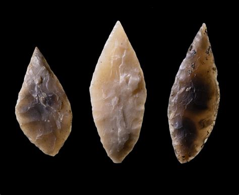 Plano Convex Knife Virtual Museum