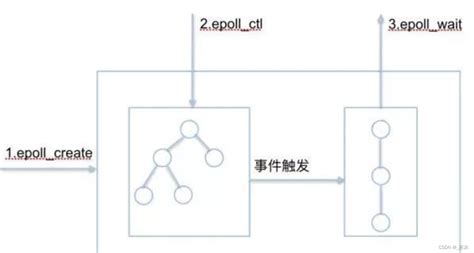 I O多路复用模型实现epoll 阿里云开发者社区