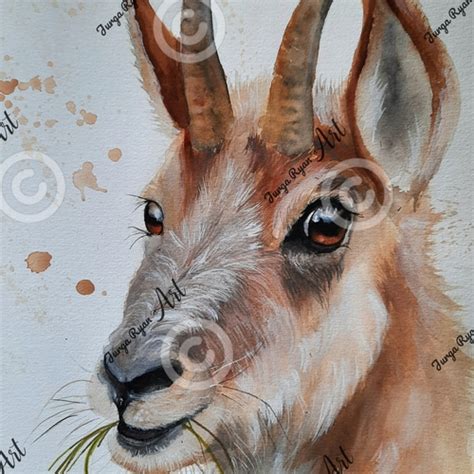 Gallery Jurga Ryan Art