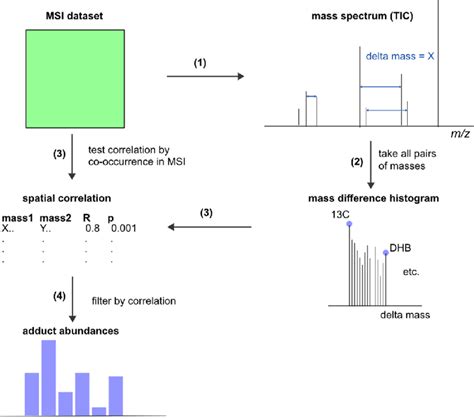 Adduct Counting And Spatial Correlation With Mass2adduct Msi Data In Download Scientific