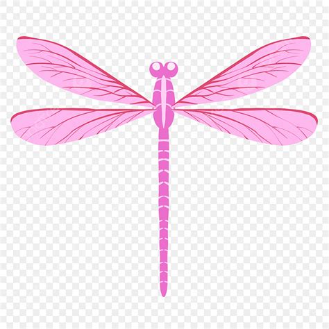 Clip Art Libellula Viola Vettoriale Stockicona Della Libellula Carino
