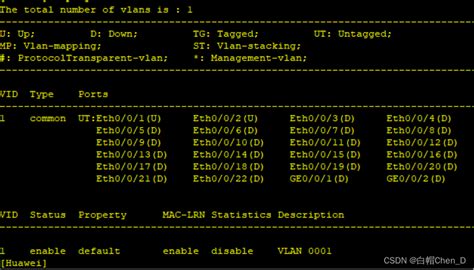 vlan实验一 vlan的简单配置 port default vlan 10 csdn博客