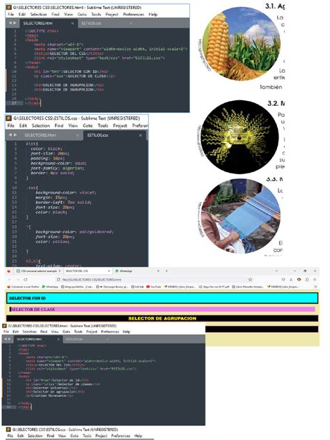 Diseño Selectores Css Pdf Diseño Selectores Css Pdf