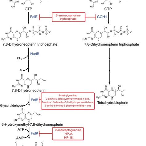 Chemical Structures Of Inhibitors Of Paba Biosynthesis Download