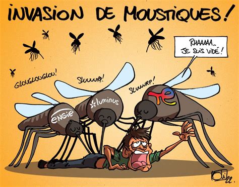 Trop De Moustiques En Belgique Les Humeurs Doli