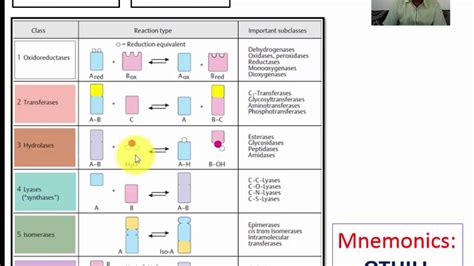 Nomenclature And Classification Of Enzymes Nomenclature And