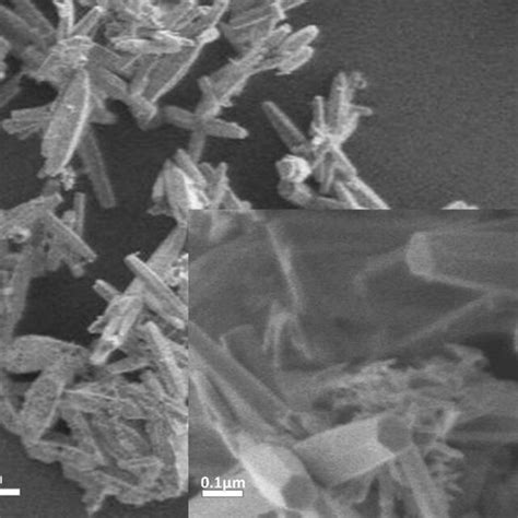 Sem Image Of Cds Nanostructures Download Scientific Diagram