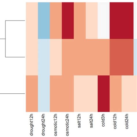 Clustergram Representing Correlation Between Transcriptomes From Cold Download Scientific