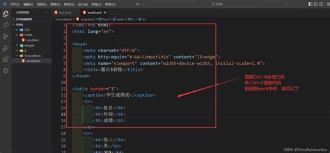 如何将代码以高亮的方式：插入到 word 文件中 代码高亮插入word csdn博客