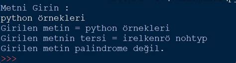Python Palindrome Örneği Tasarım Kodlama