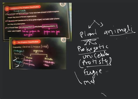 Limitations Of Two Kingdom Classification De Meritsi Unicellular And