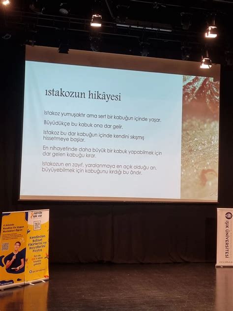 Cem K Linkedin‘de Ayşe Bilge Selçukun Ergenlik Dönemini Istakozun Hikayesiyle