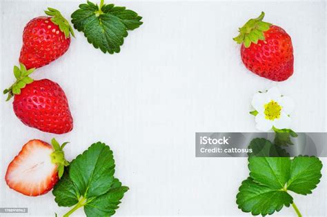 부드러운 천의 흰색 배경에 가장자리에 장식 된 귀여운 빨간 딸기 꽃과 녹색 잎이 있는 벽지 배경 자료 0명에 대한 스톡 사진 및 기타 이미지 Istock