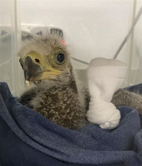 Jerry Tarnopol Posted On Linkedin