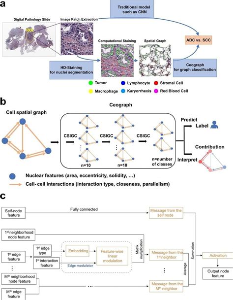 Ai Accurately Predicts Cancer Outcomes From Tissue Samples Lifeboat News The Blog