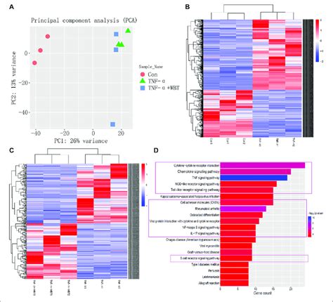 Rna Seq Transcriptional Comparison Between Different Groups And Download Scientific Diagram