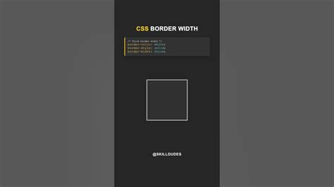 Master Css Border Width In Seconds 🔥 Shorts Coding Programming Youtube