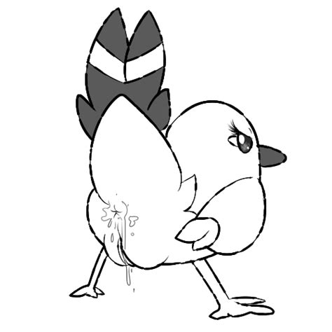 Rule 34 Anus Beak Dripping Feathers Female Fletchling Monochrome