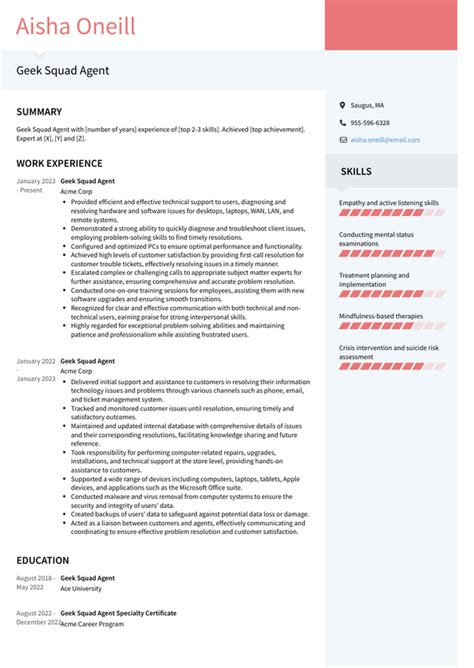 Best Geek Squad Agent Resume Examples That Land Jobs