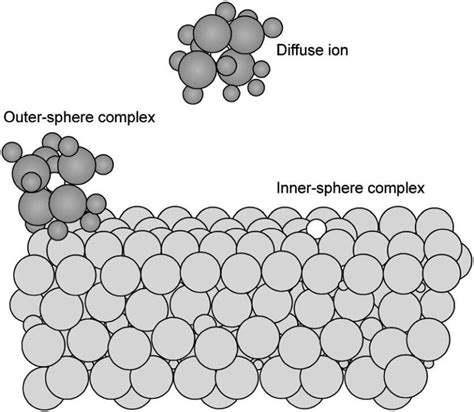 Represents The Diffusion Of Ions Into The Outer And Inner Surface