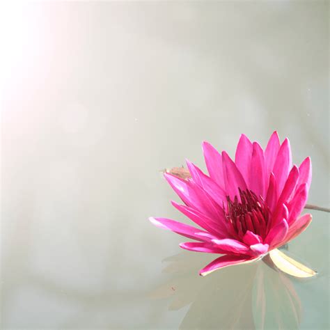 Multi Award Winning Holistic Therapy Centre Feel Good Balham