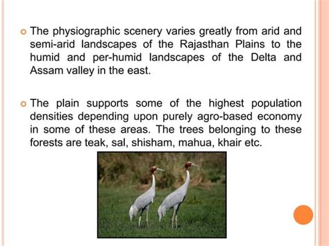 Biogeographical Classification Of India Pptx Asia Travel Travel Locations