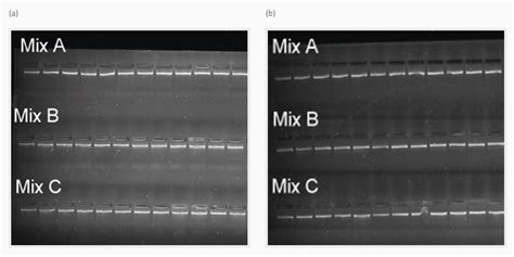 Hla Typing Using Pcr And Ngs Technology