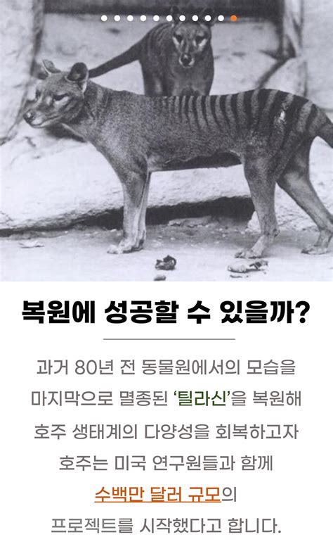 기후변화로 인한 생태계 파괴 복원 가능할까 네이버 포스트