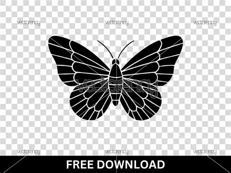 Butterfly Free Svg Cut File Vectorency