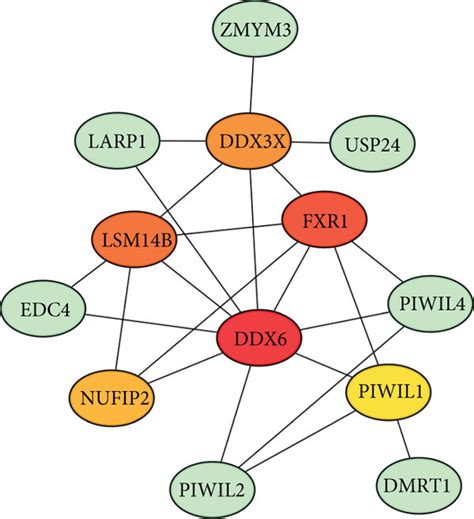 Network Centralities Calculated By Cytohubba Plug In Download