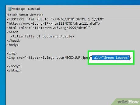 How To Insert Images With Html Add Pics To Your Projects