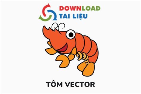 Tải Bộ Sưu Tập Con Tôm Vector Jpeg Png  Tiff