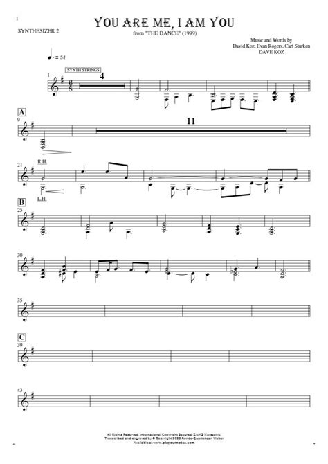 You Are Me I Am You Notes For Synthesizer Synth Strings