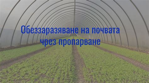 Обеззаразяване на почвата чрез пропарване Youtube