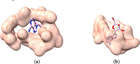 Figure 1 From Adenosine Encapsulation And Characterization Through