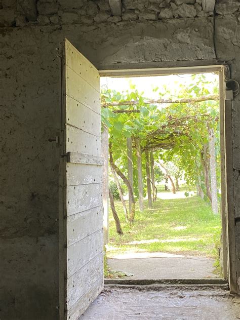 Newbeginnings Jacqui Griffiths 96 Comments