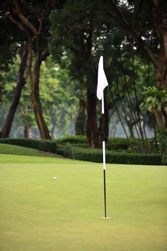 그린에 있는 골프공의 얕은 초점 사진으로 흐릿한 전경에 구멍과 흰색 깃발이 있습니다 배경은 흐릿한 나무입니다 낮 동안 태국의 골프 코스에서 0명에 대한 스톡 사진 및 기타
