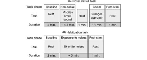 Schematic Overview Of The Task Phases Of The Novel Stimuli Task A And
