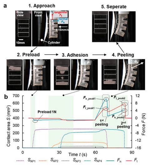 Actuators Special Issue Soft Actuators And Robotics