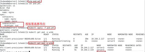 Kubernetes调度——节点亲和、容器亲和性、污点与容忍、停止调度 Csdn博客