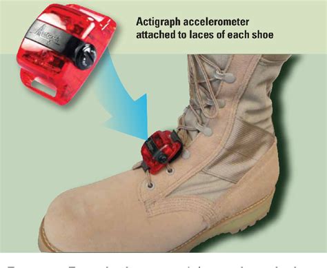 Figure 1 From Detecting Gait Asymmetry With Wearable Accelerometers Semantic Scholar