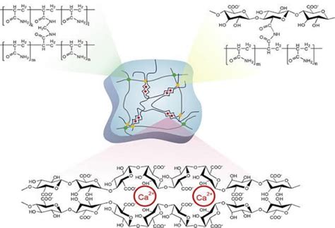 In Situ Hydrogel Formation Using Chemical Cross Linking And Ionic Download Scientific Diagram