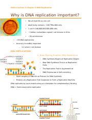 Chapter 6 DNA REPLICATION Lecture Part 1 Part 2 Notes Docx