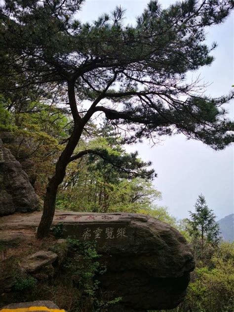 登廬山橫看成嶺側成峰遠近高低各不同 每日頭條