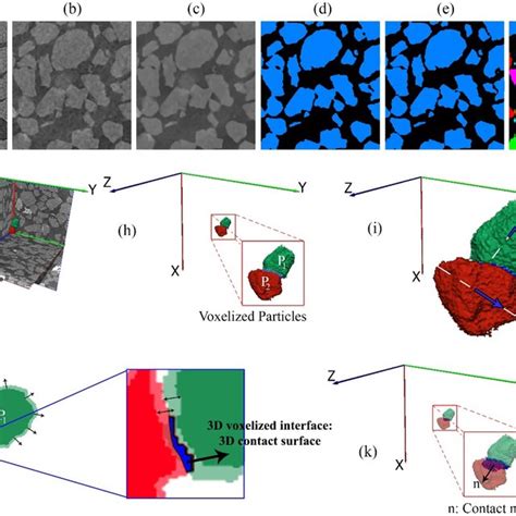 Voxelized Renderings Of A Grains Package As Well As A Cross Section Of Download Scientific