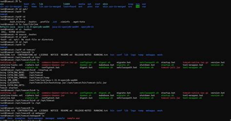 Java Aws Apachetomcat Clouddeployment Ec2 Webdevelopment Devops