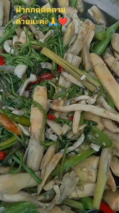 แกงหน่อไม้สด น้ำใบย่านางเขียวๆ หอมใส่ชะอมผักขะแยง แซ่บๆ สาวลาว Youtube