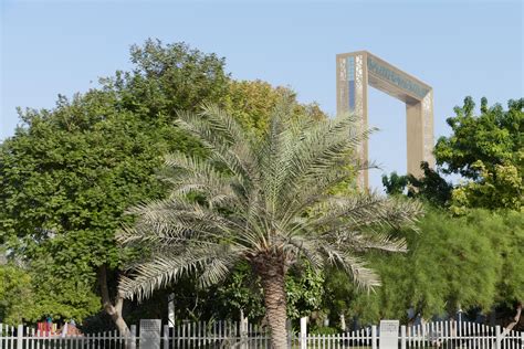 9 Things To Do In Zabeel Park Explore The Parks Attractions