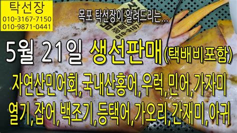5월 21일 자연산민어회 국내산홍어 우럭 민어 가자미 열기 잡어 백조기 등택어 가오리 간재미 아귀 맛있게