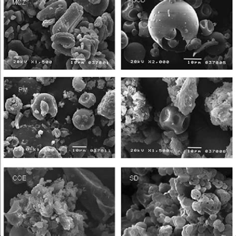 Pdf [cyclodextrins And Their Inclusion Complexes Review ]